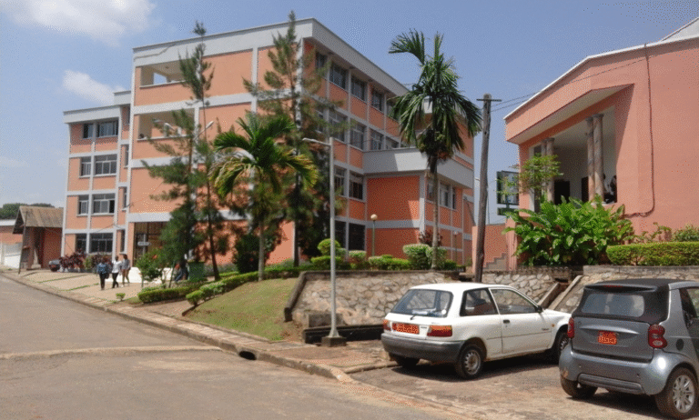 Ecole Nationale Supérieure Polytechnique de Yaoundé (ENSPY ...